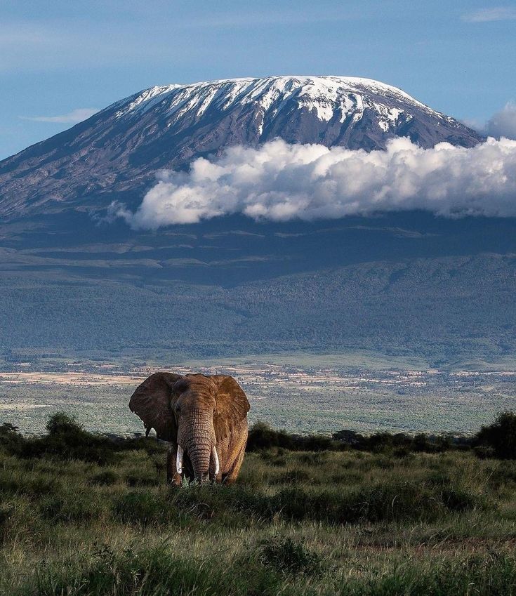 TOP 10 TOURIST ATTRACTIONS IN KENYA | AFRICA